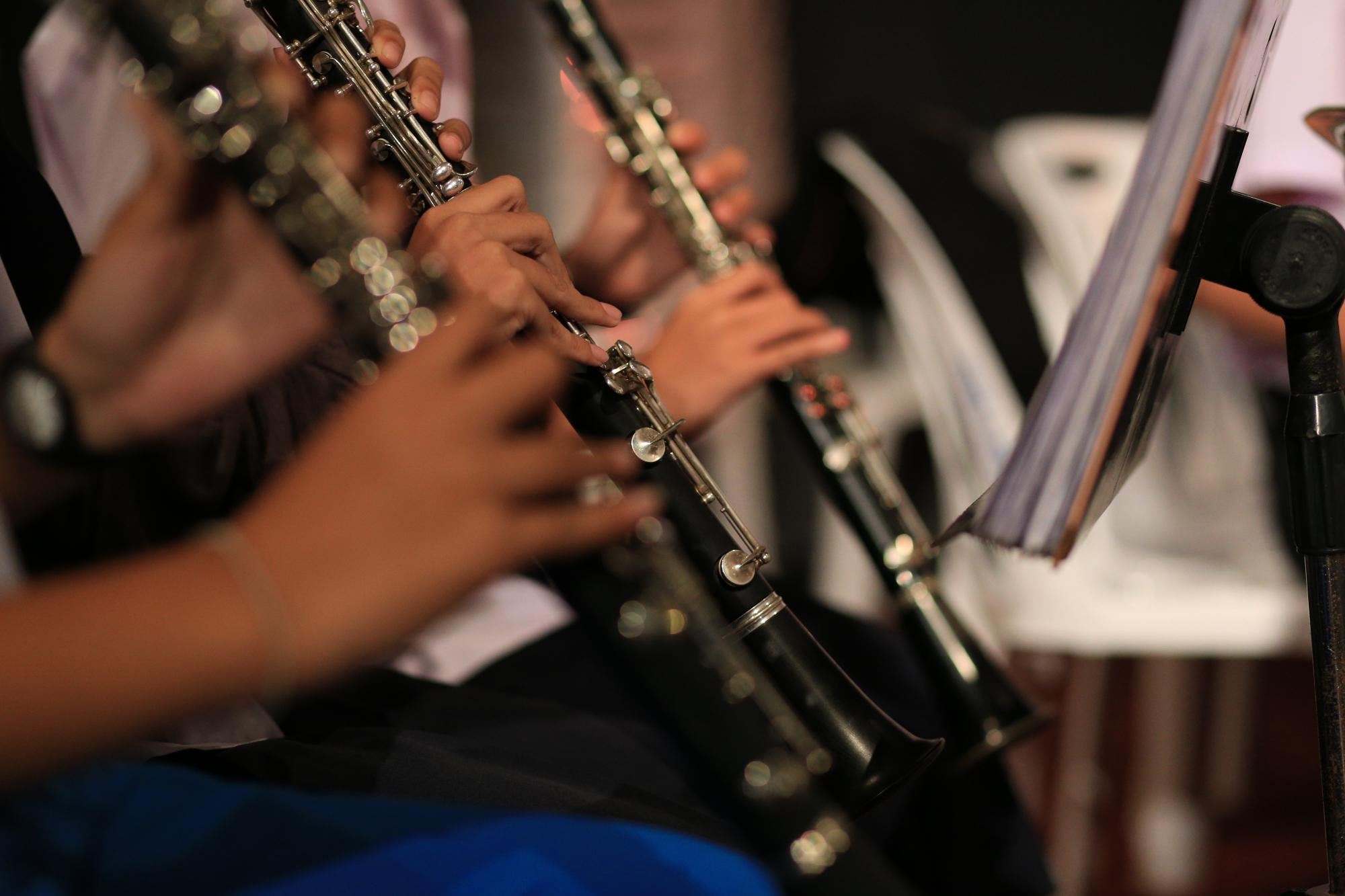 Long Winded 2: A Celebration of Diversity in the Woodwind Department ...