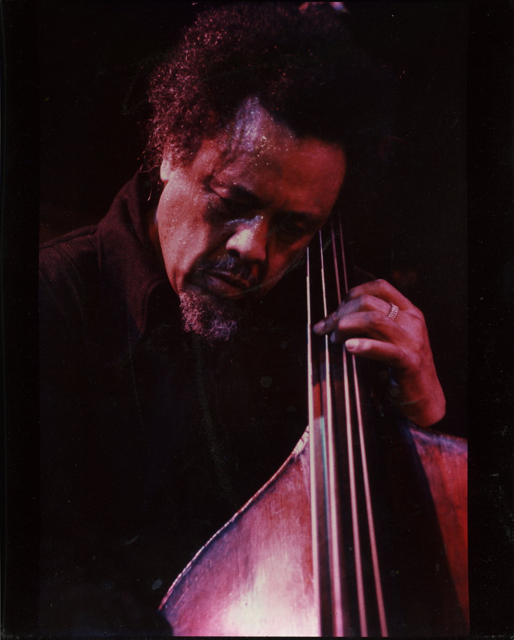 Mingus The Jazz Cat | Berklee